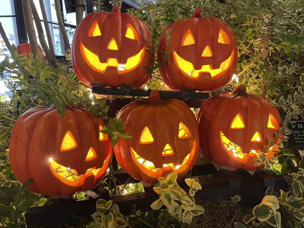 ココイロハウスのInstagram - 大分県中津市で新築建築・オーダー家具製作ならココイロハウス｜cocoiro house